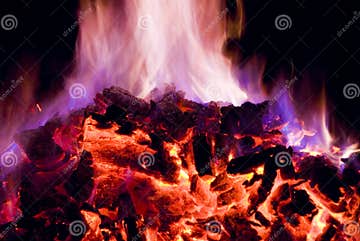 Purple and Blue Flames of Fire Stock Photo - Image of warm, color: 2580708