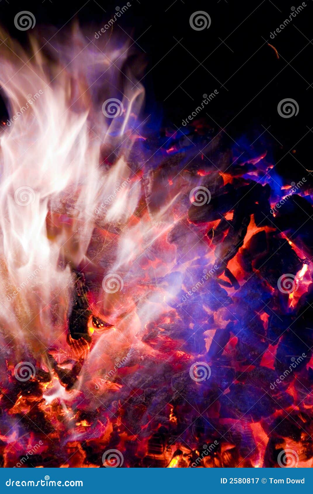 Purple and Blue Flames of Fire Stock Image - Image of warm, cool: 2580817
