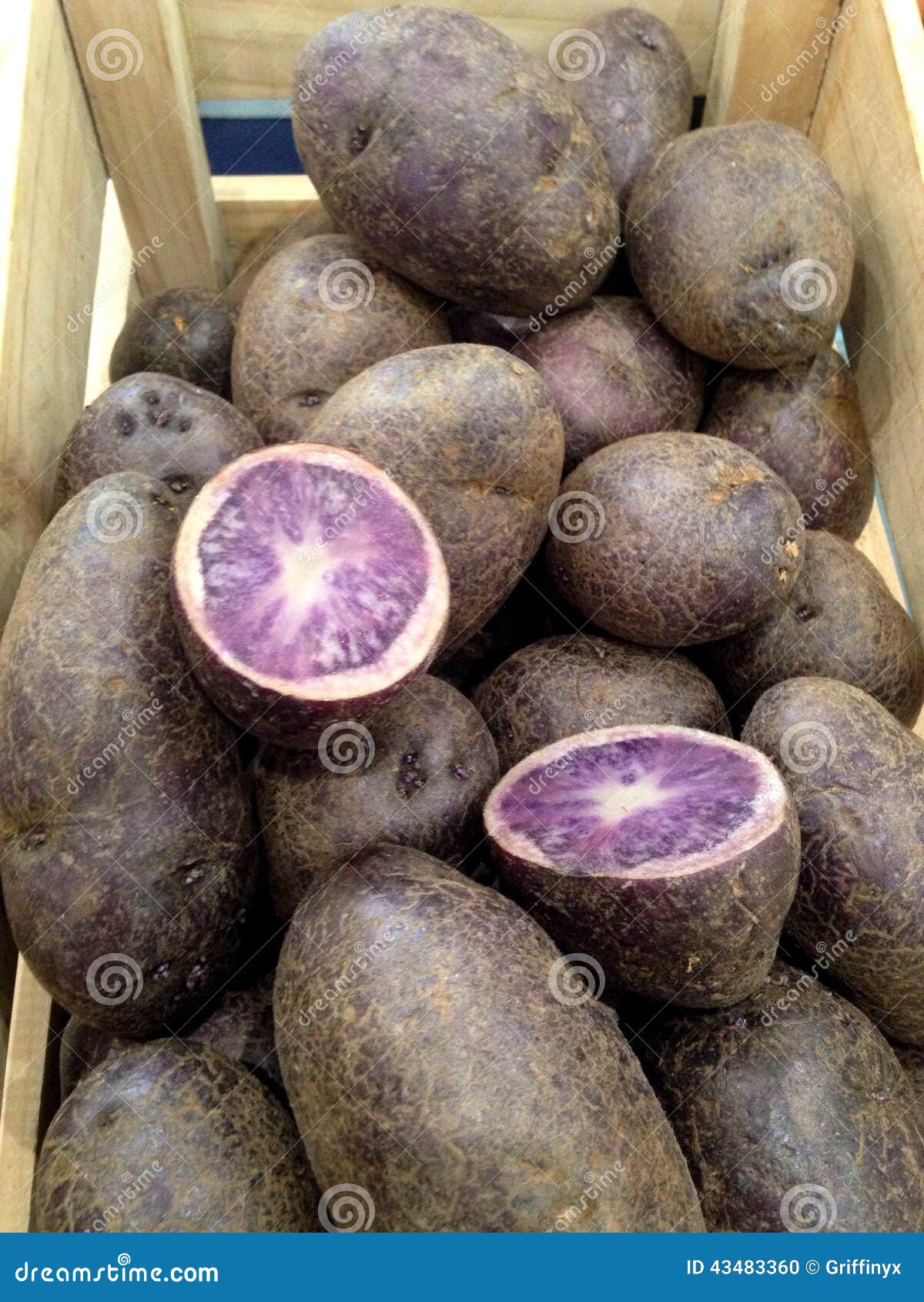 Purple & blue potatoes stock photo. Image of spud - 43483360