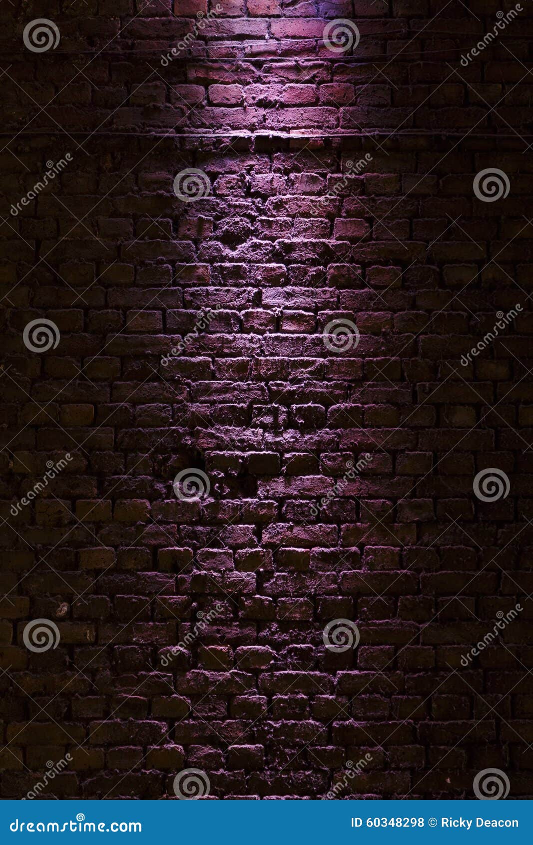 Purple Brick Wall Texture stock photo. Image of purple - 60348298