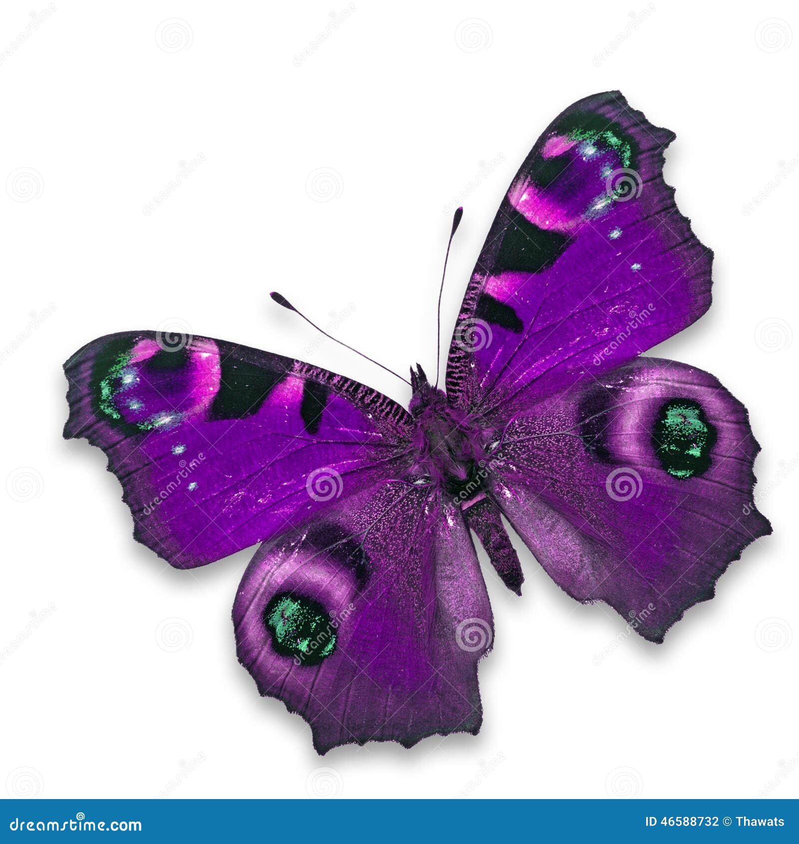 Purple Butterfly Stock Photo - Image: 46588732