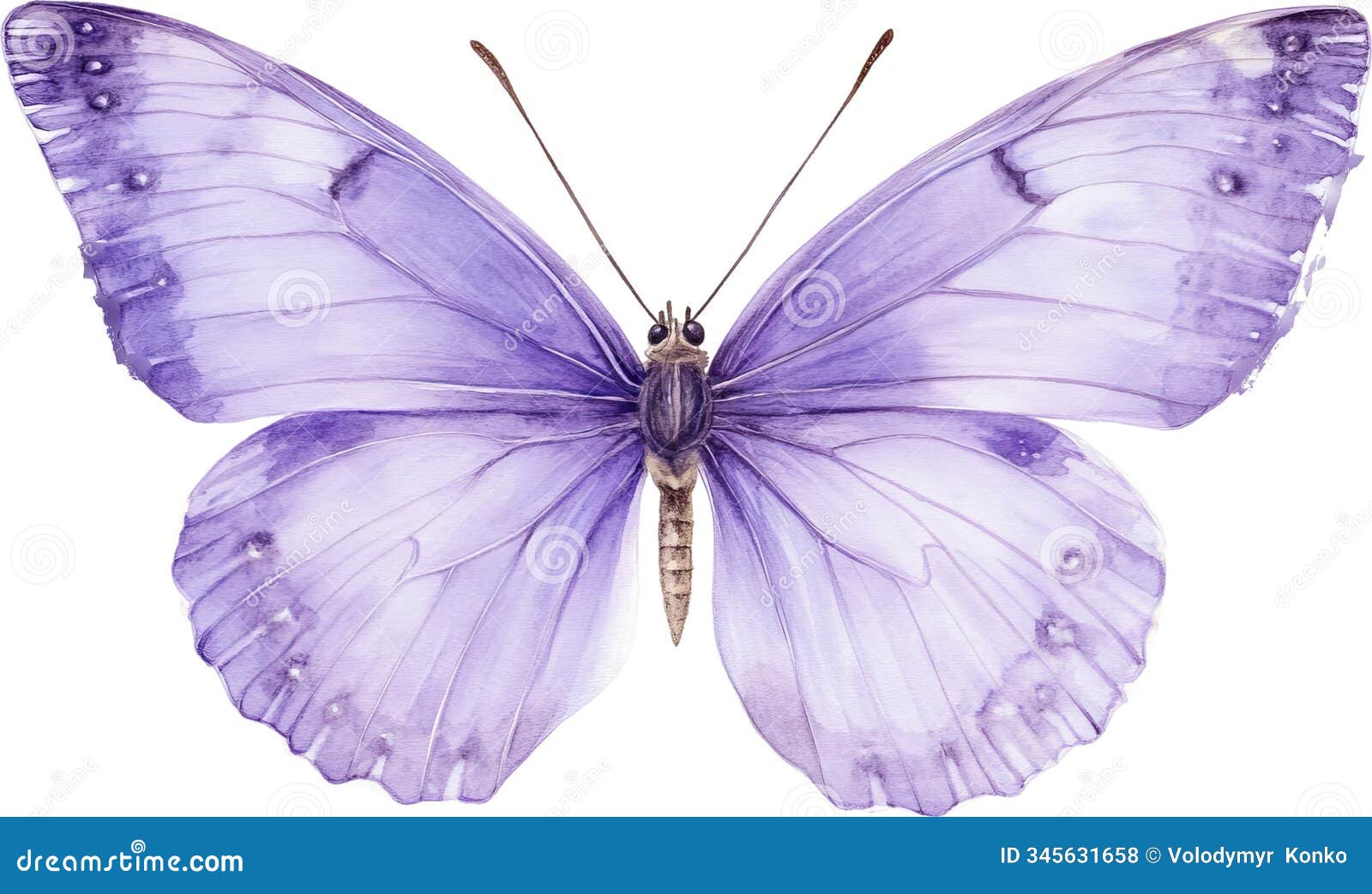 Purple Butterfly with Delicate Wing Pattern on Transparent Background ...