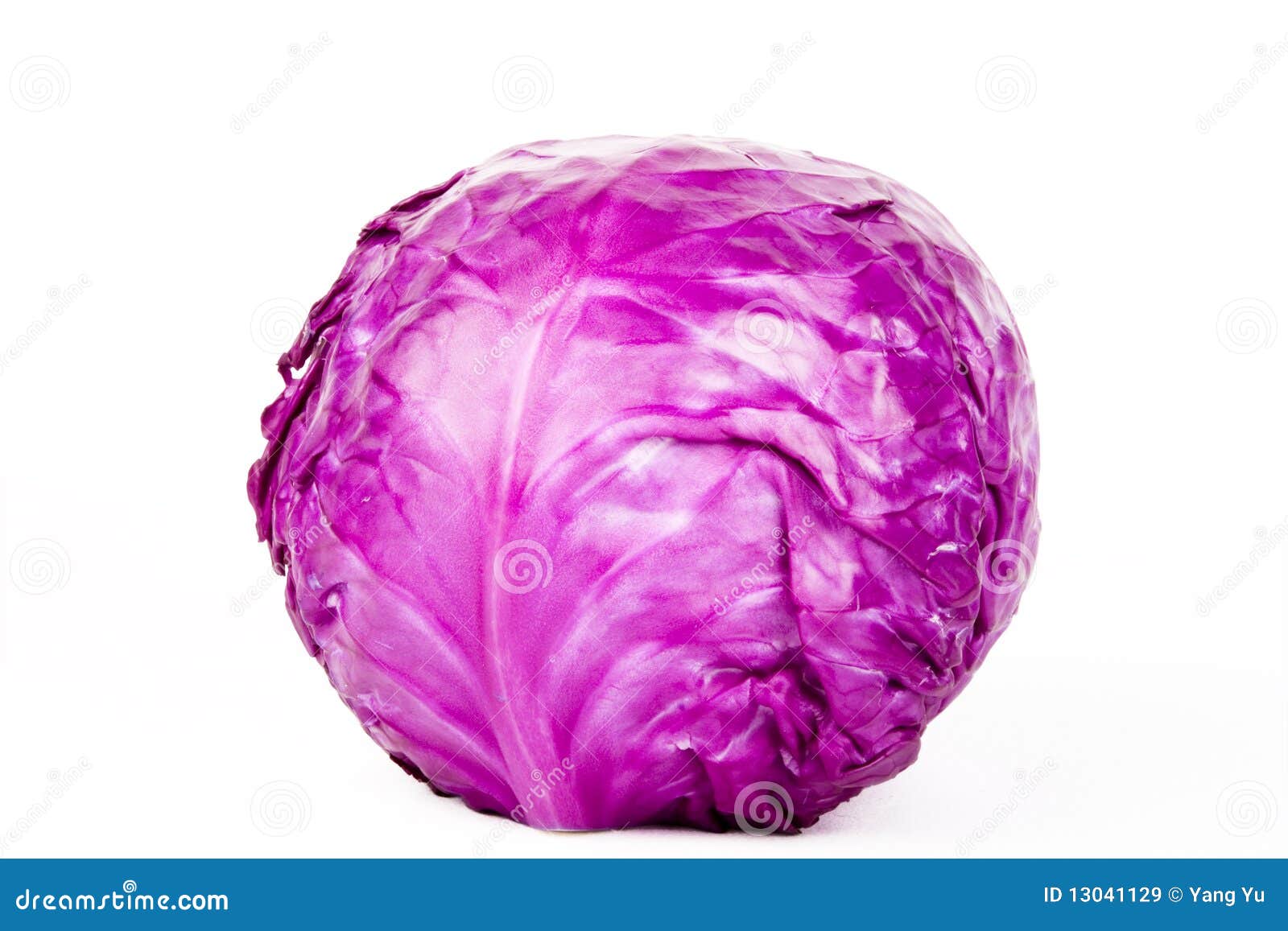 Purple Cabbage stock image. Image of cooking, closeup - 13041129
