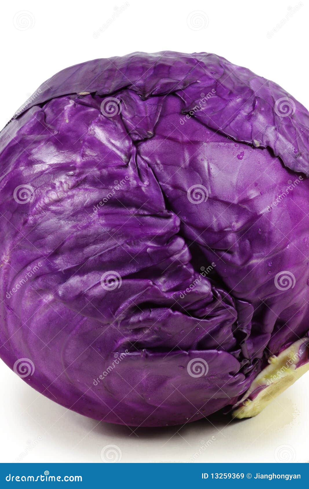 Purple cabbage stock image. Image of closeup, natural - 13259369