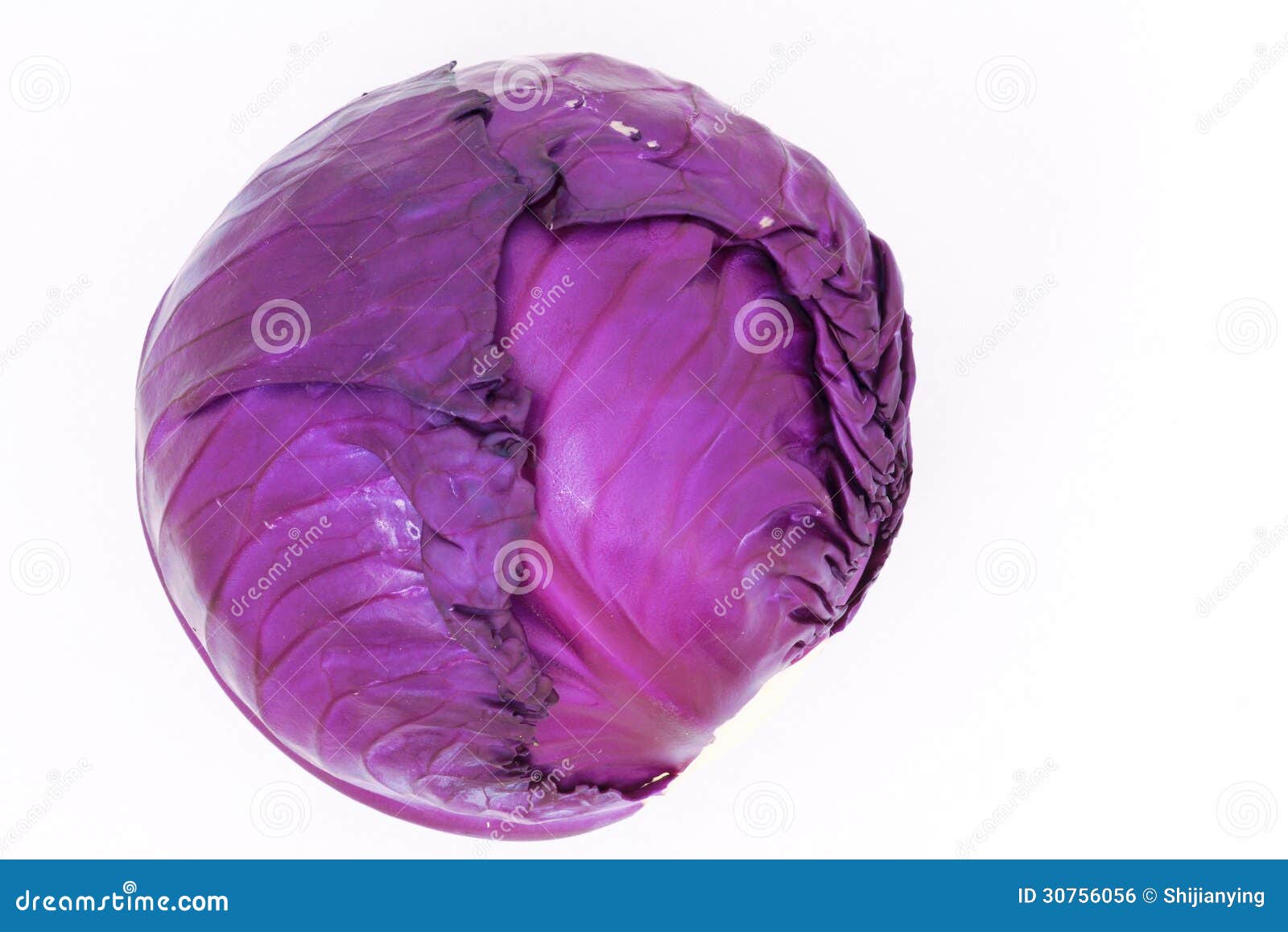Purple cabbage stock photo. Image of eatable, fresh, cabbages - 30756056