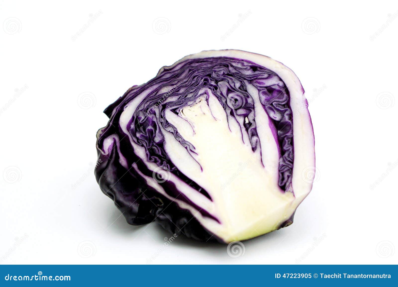 Purple cabbage 2 stock image. Image of cabbage, organic - 47223905