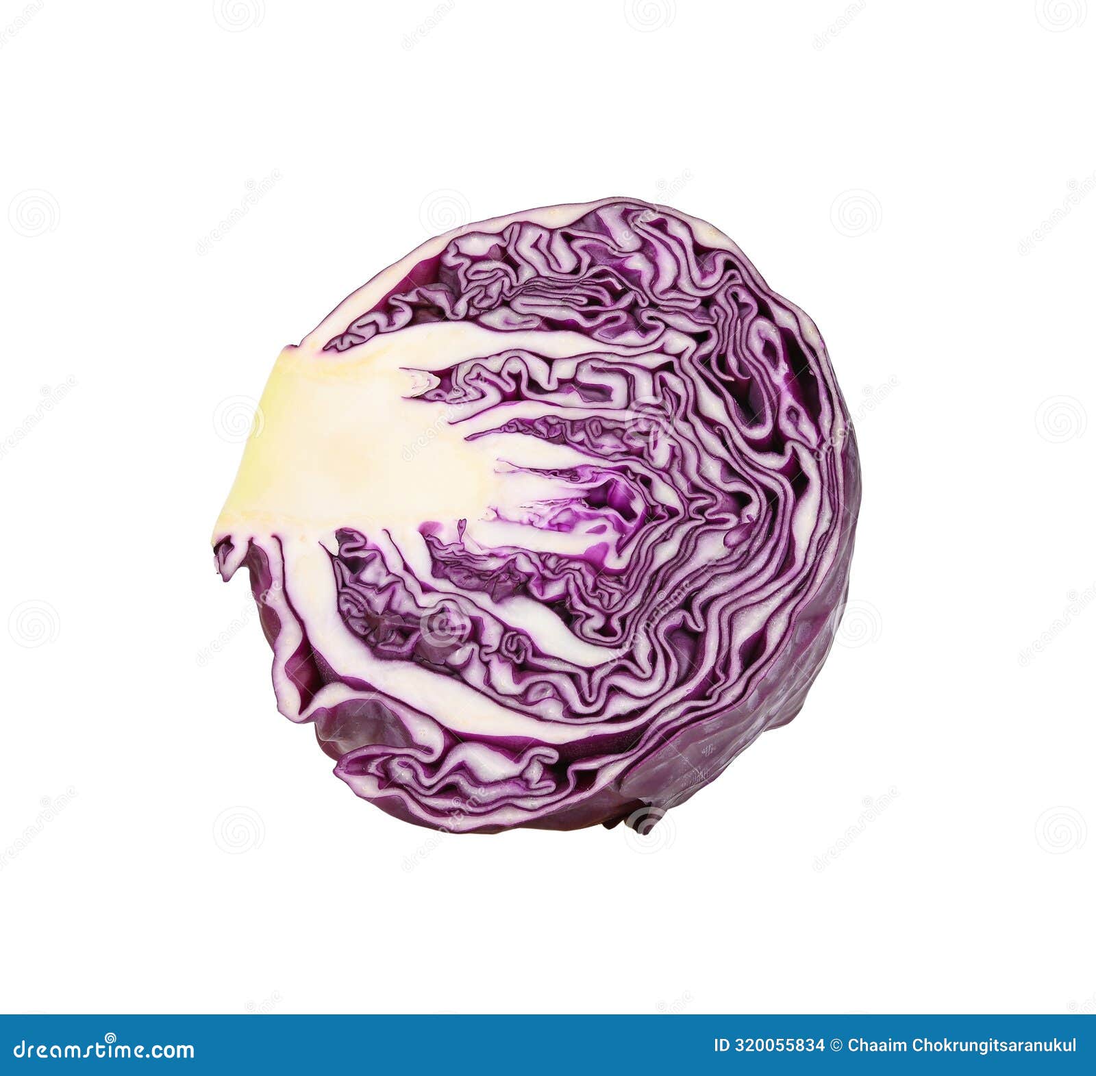 An Isolated Photo of Sliced Red Cabbage from Top. Close Up of an ...