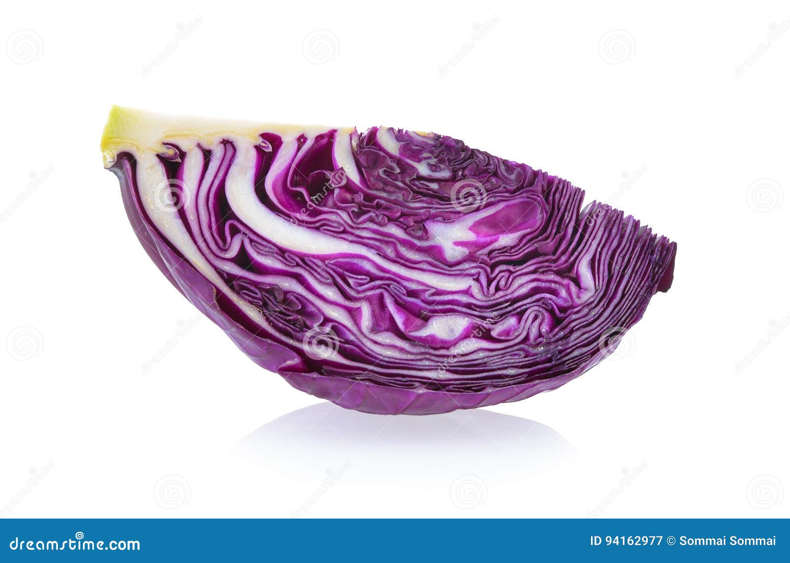 Purple cabbage slice stock image. Image of healthy, organic - 94162977