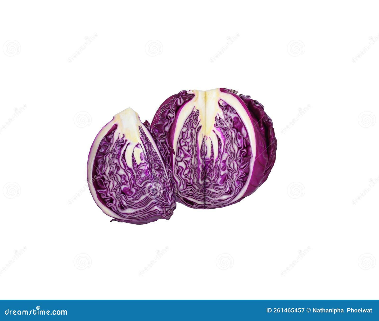 Purple Cabbage Slices on White Stock Image - Image of foliage, purple ...