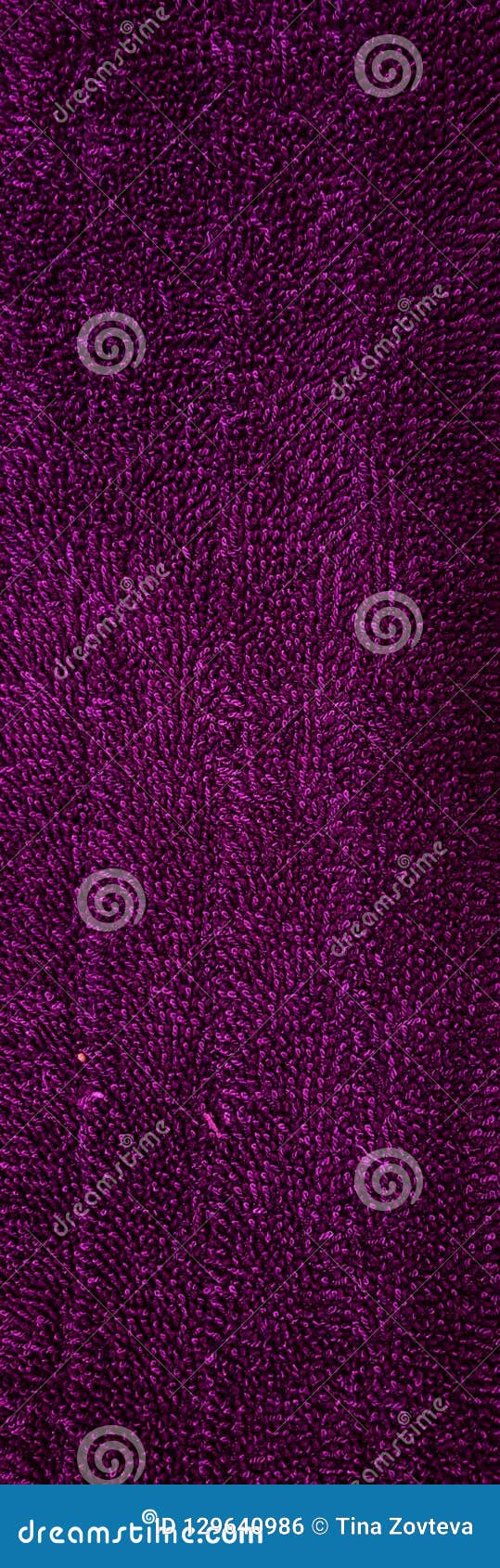 Purple Carpet Texture Stock Photos - Download 3,022 Royalty Free Photos