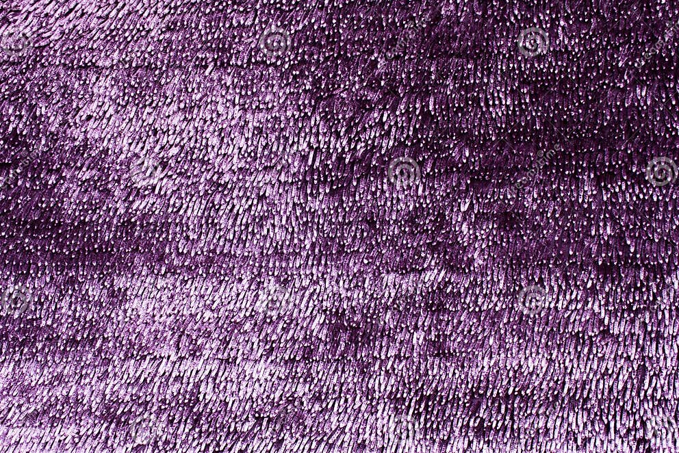 Purple Carpet Texture or Surface Stock Image - Image of decorative ...