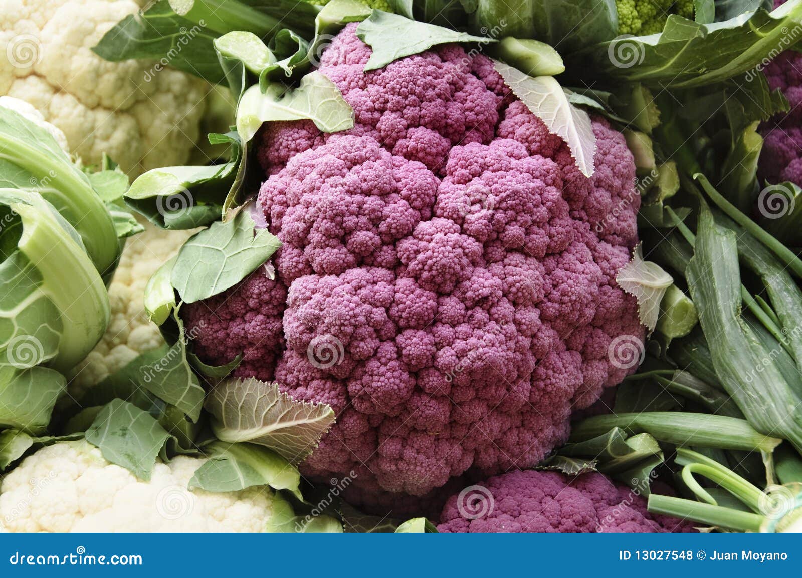 Purple cauliflower stock photo. Image of health, market - 13027548