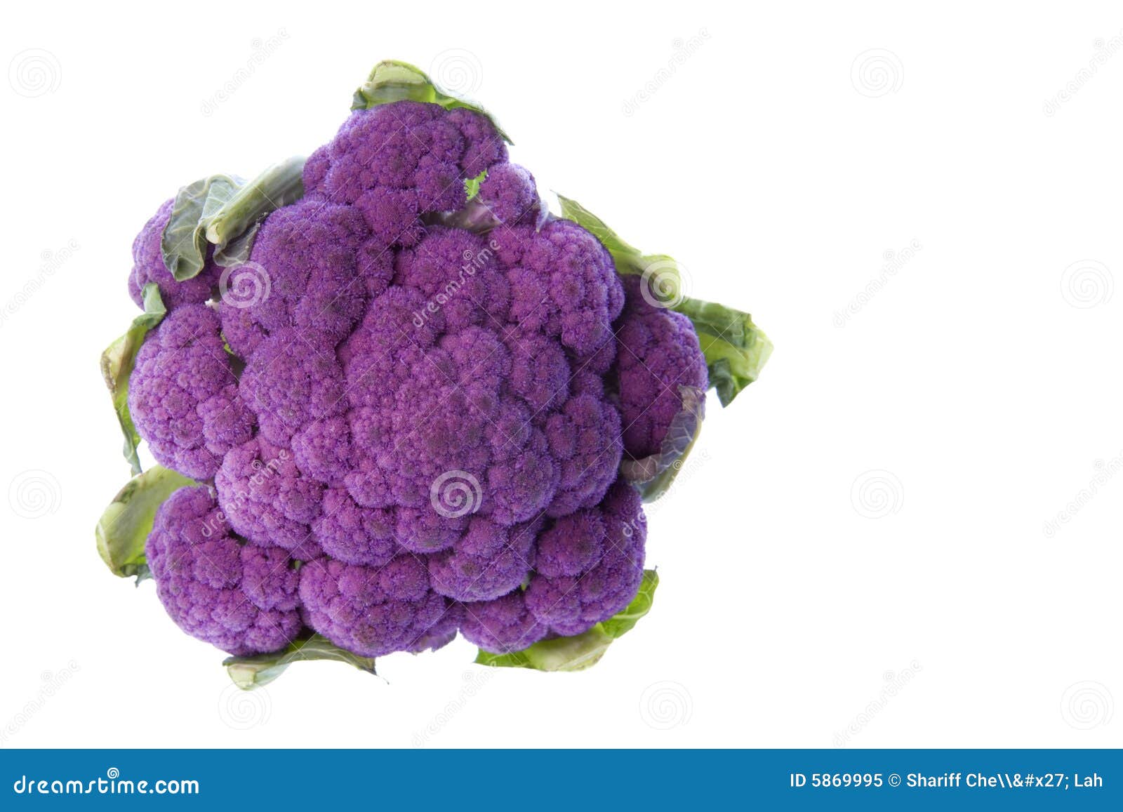 Purple Cauliflower stock image. Image of isolated, vegetarian - 5869995