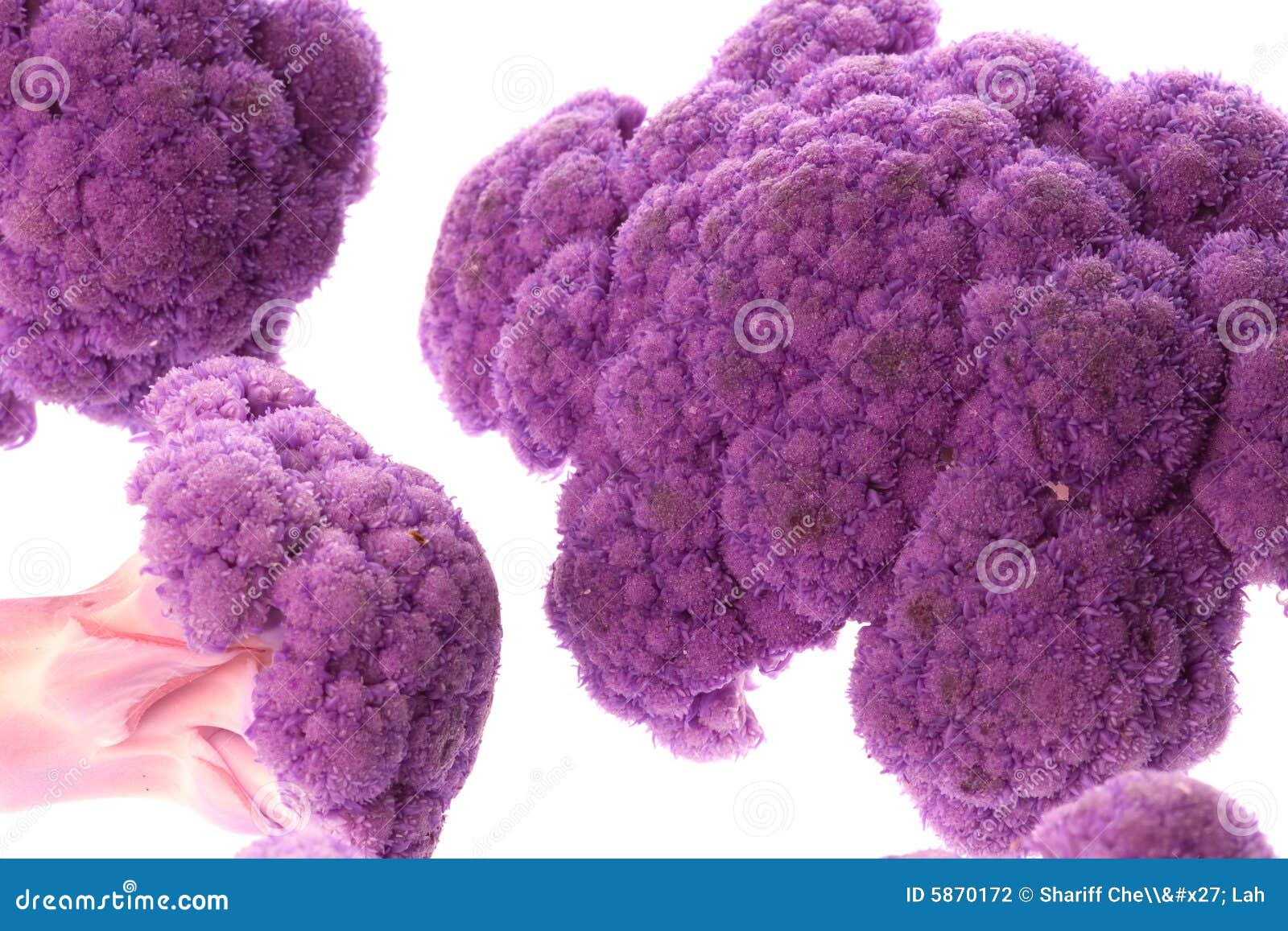 Purple cauliflower stock photo. Image of details, vivid - 5870172