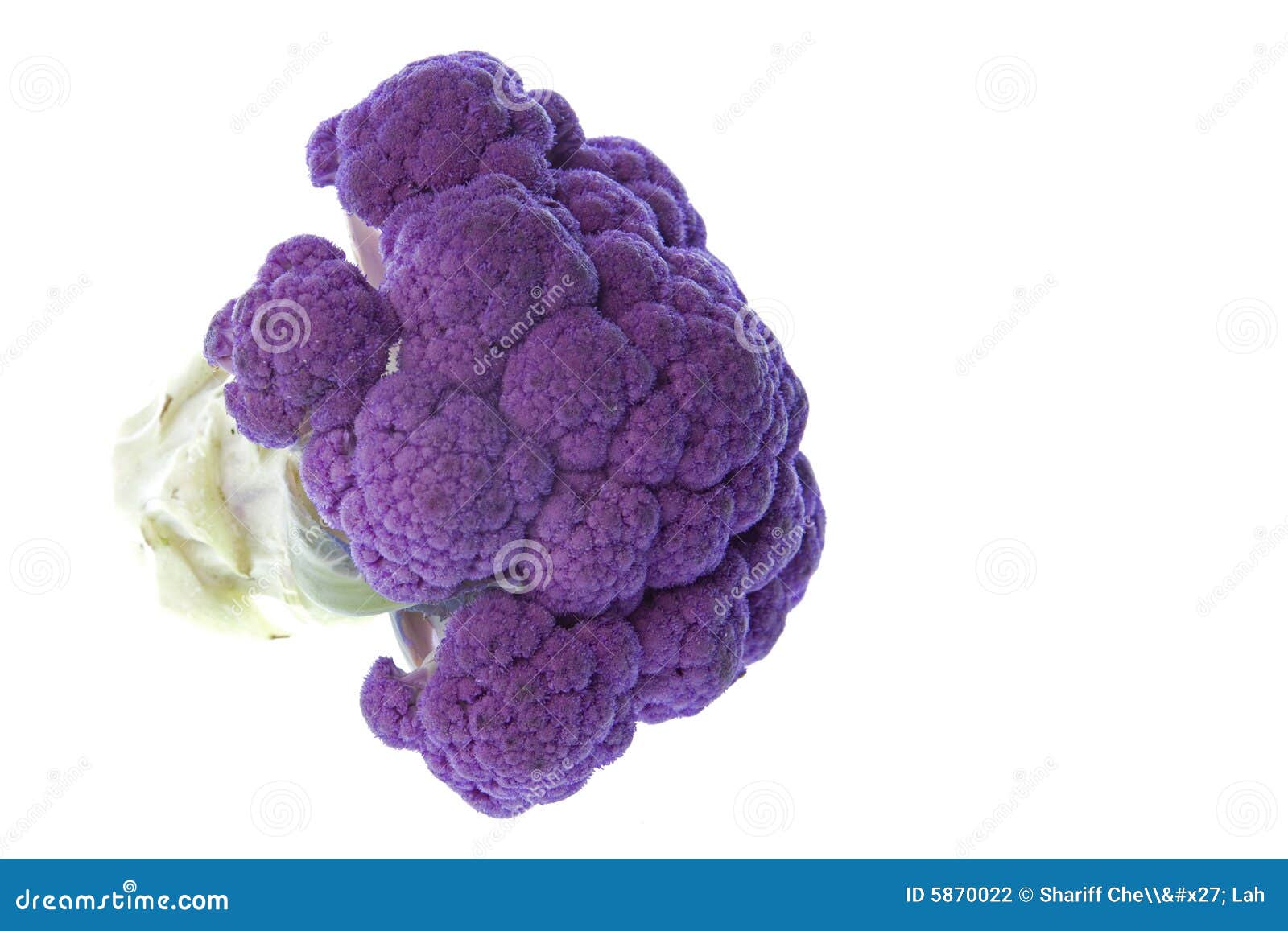 Purple Cauliflower Isolated Stock Photo - Image of vegetable, delicious ...