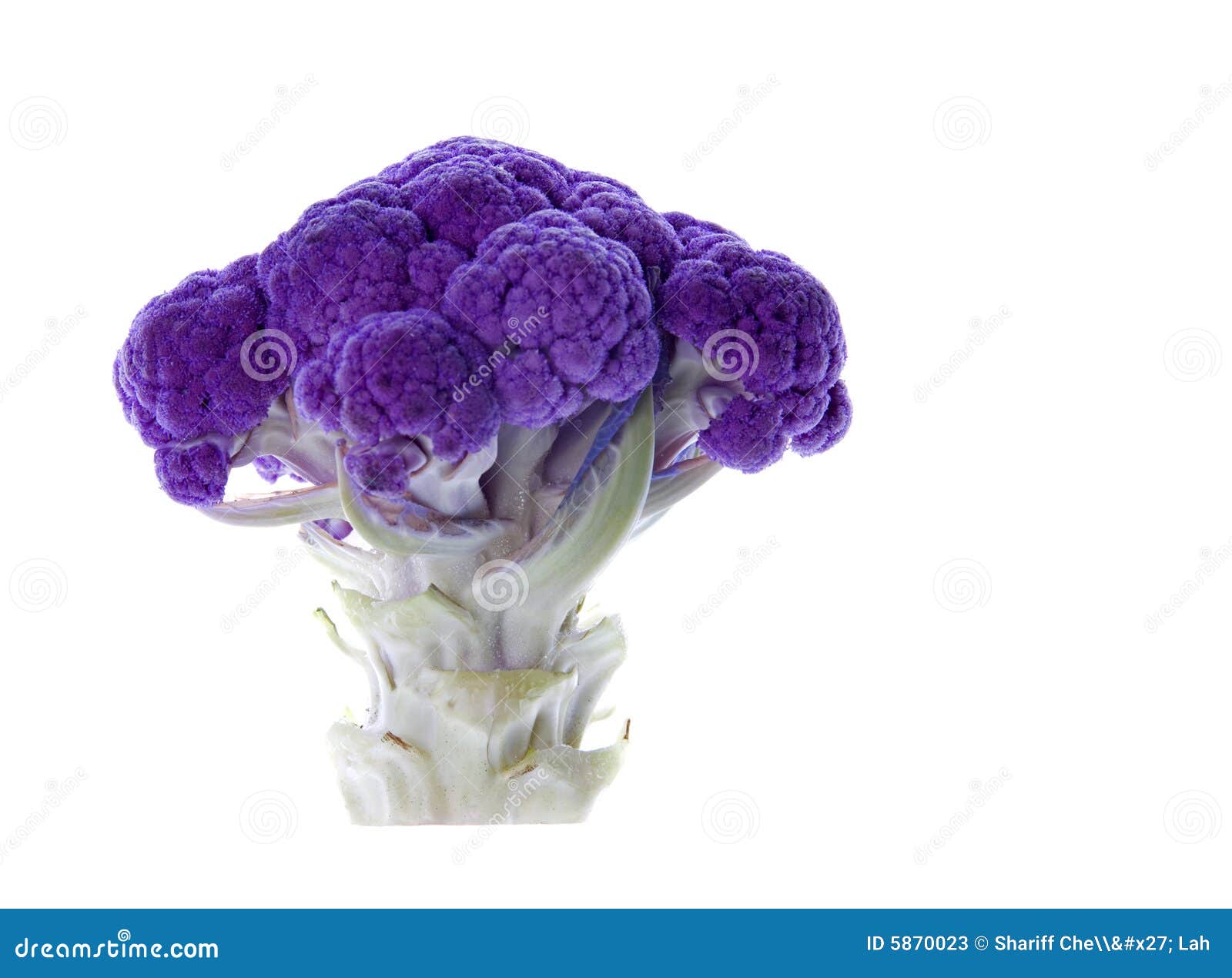 Purple Cauliflower Isolated Stock Image - Image of organic, nature: 5870023