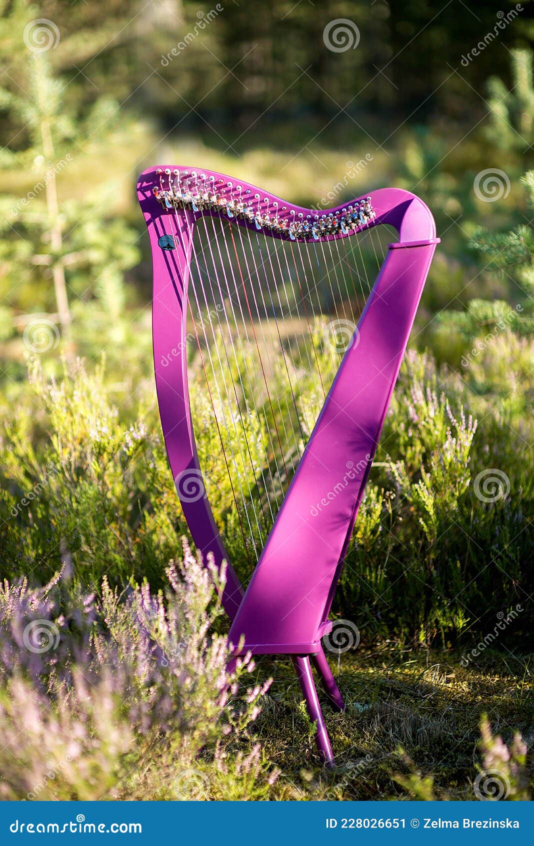 Purple celtic harp stock image. Image of music, elegance - 228026651