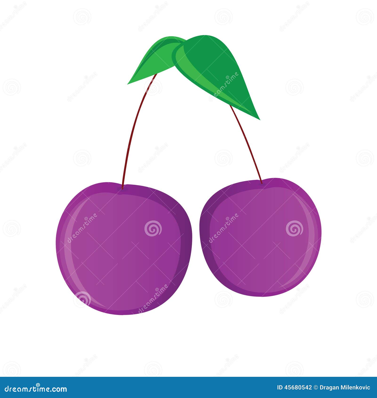 Purple Cherry Vector Transparent Background | CartoonDealer.com #220301591