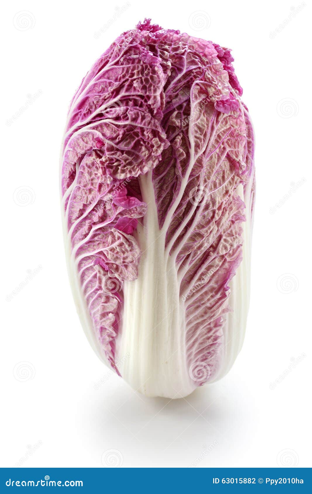 Purple chinese cabbage stock photo. Image of hakusai - 63015882