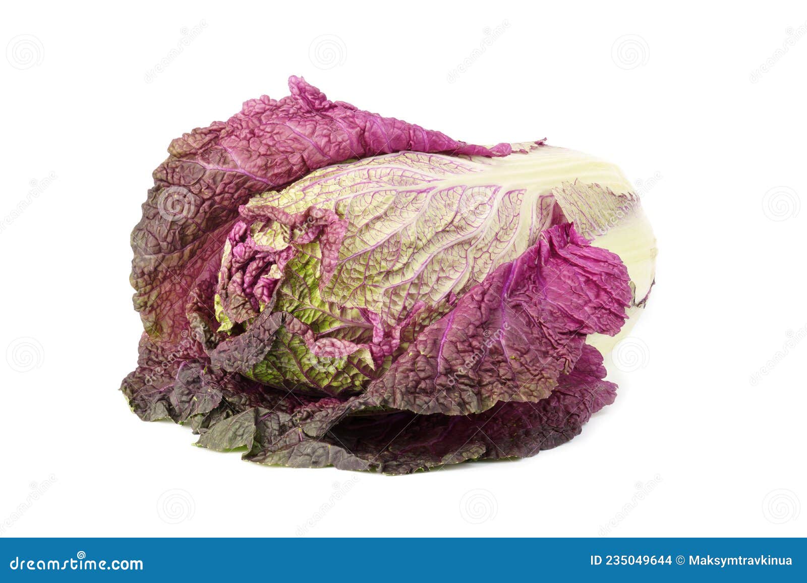Purple Chinese Cabbage Isolated on White Background. Fresh Cabbage ...