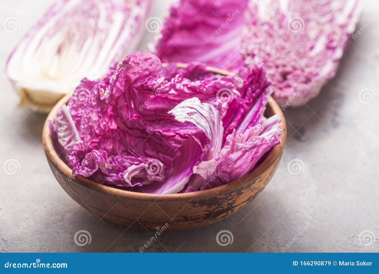 Purple Chinese Napa Cabbage on Grey Concrete Table. Leaf, Head of ...