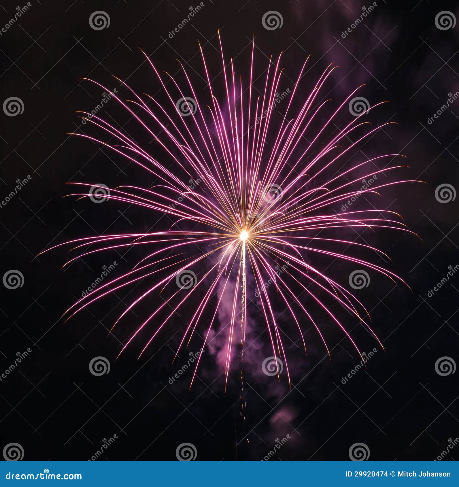 The Purple Flower of Light stock photo. Image of night - 29920474