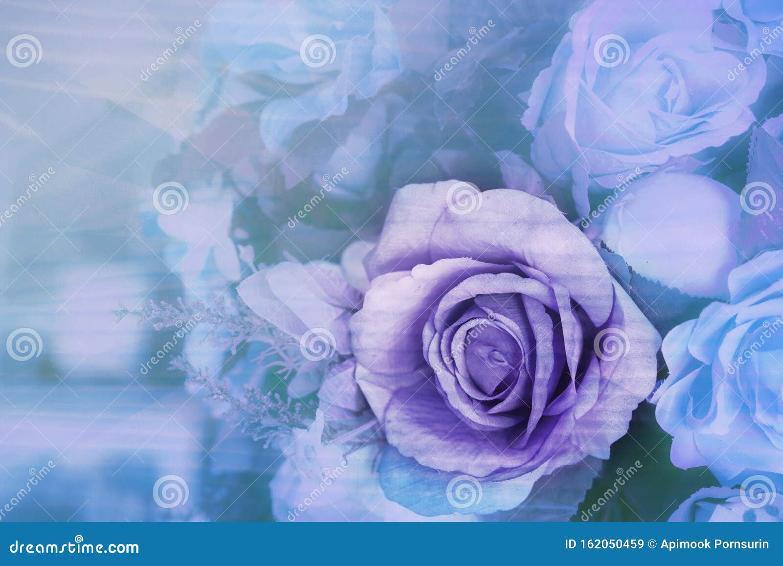 Purple Color Roses Made with Gradient in Soft Style for Abstract ...
