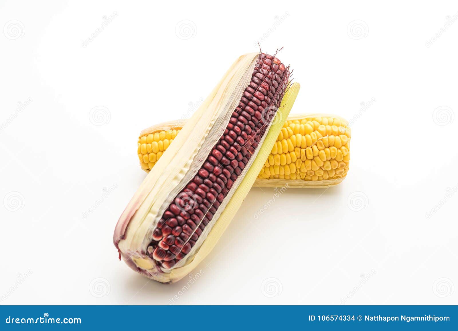 Purple Corn or Black Corn and Normal Corn Stock Photo - Image of sweet ...