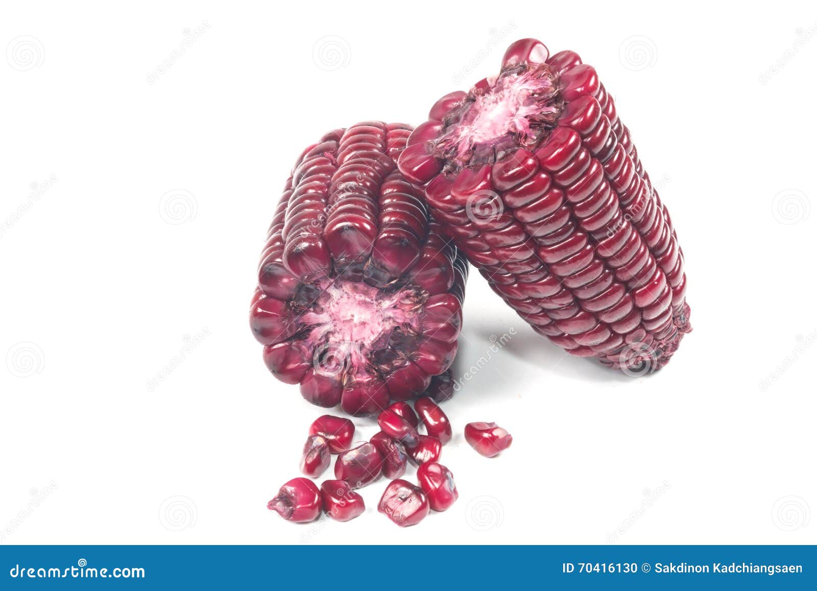Purple corn cob stock photo. Image of group, culture - 70416130