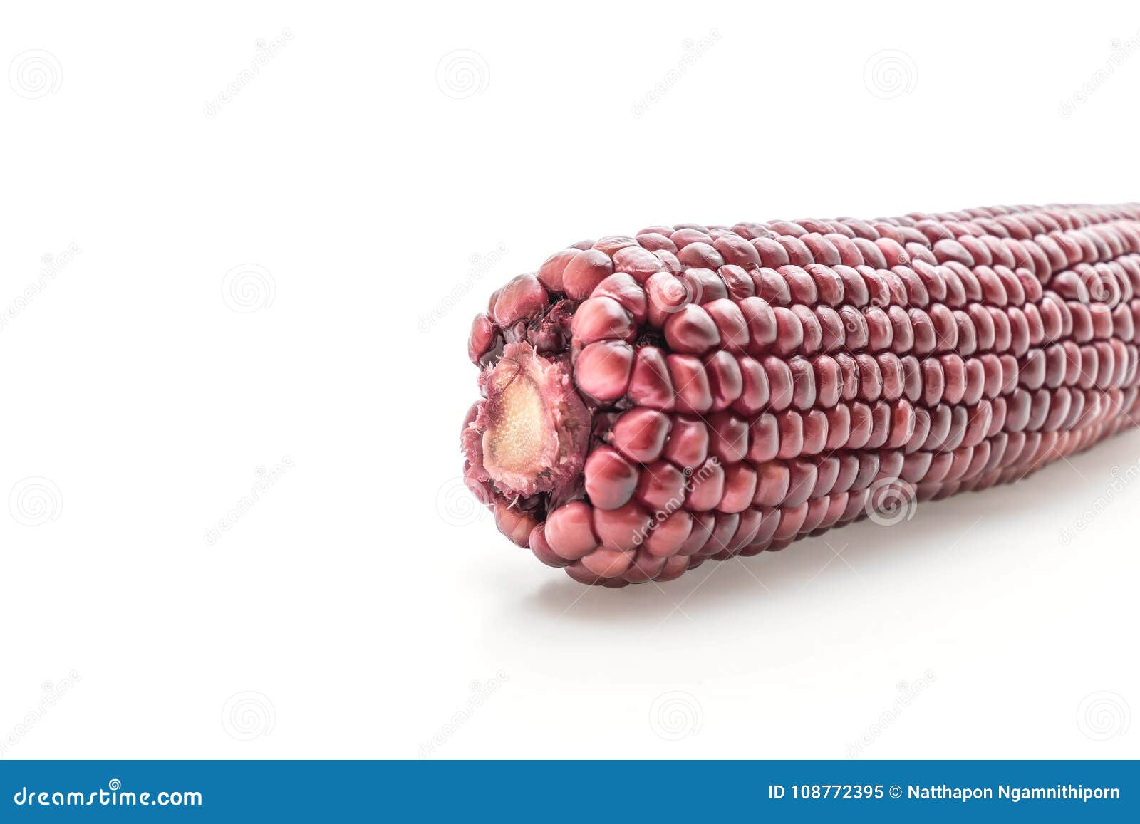 Purple Corn on White Background Stock Image - Image of vegetarian ...