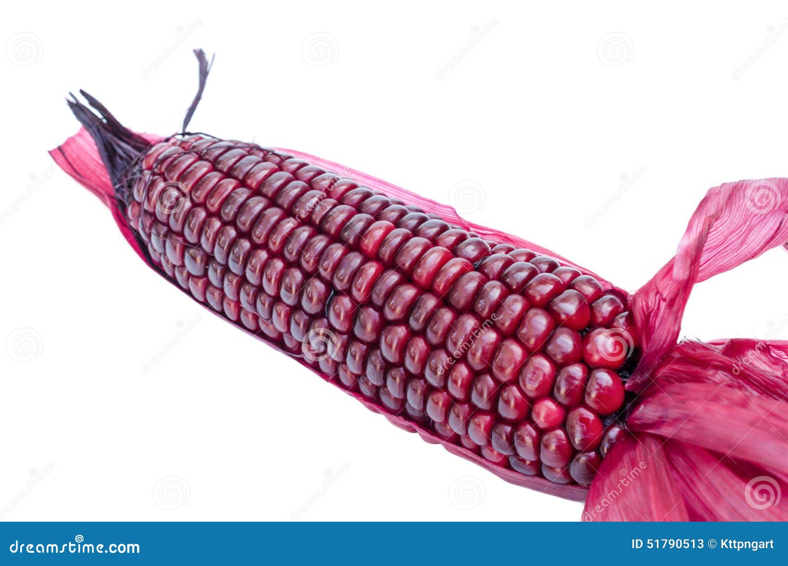 Purple corn stock image. Image of husk, natural, fruit - 51790513