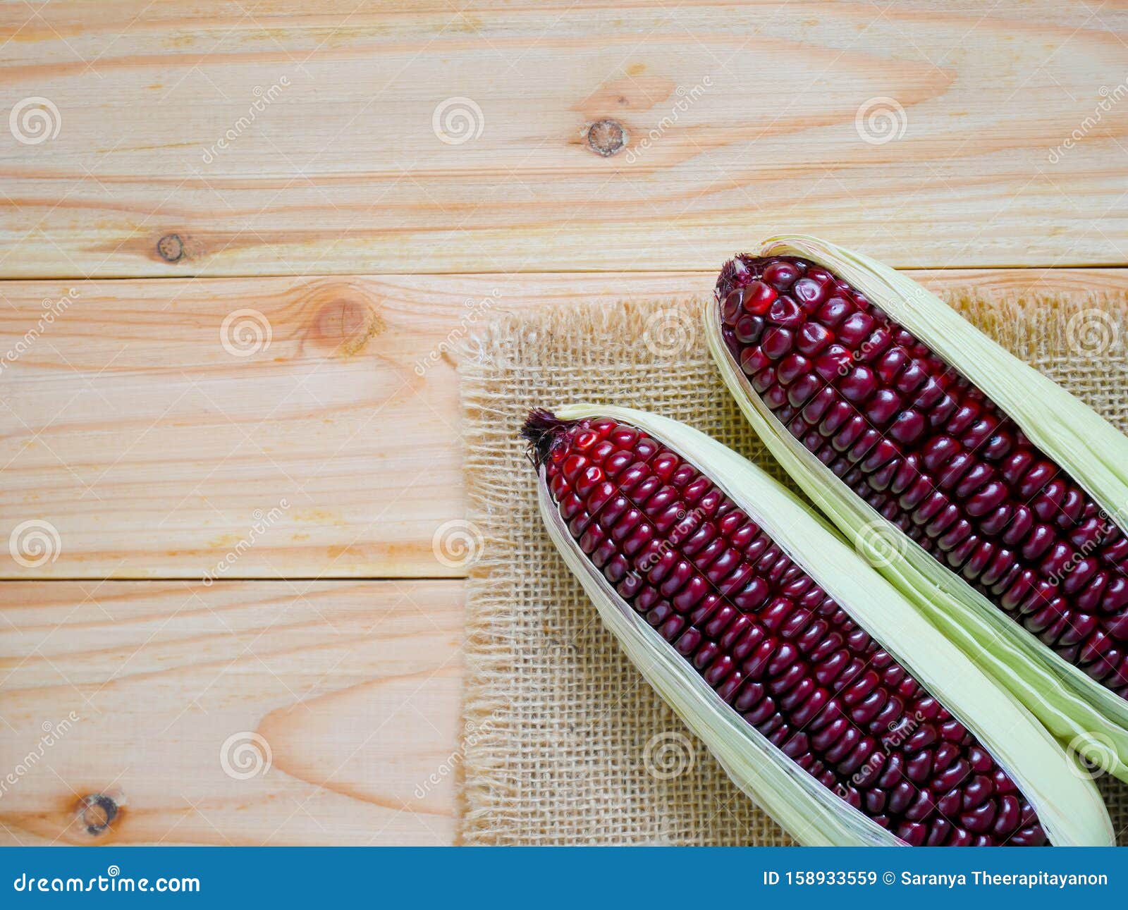 Purple Corn or Purple Maize Stock Image - Image of plant, nature: 158933559
