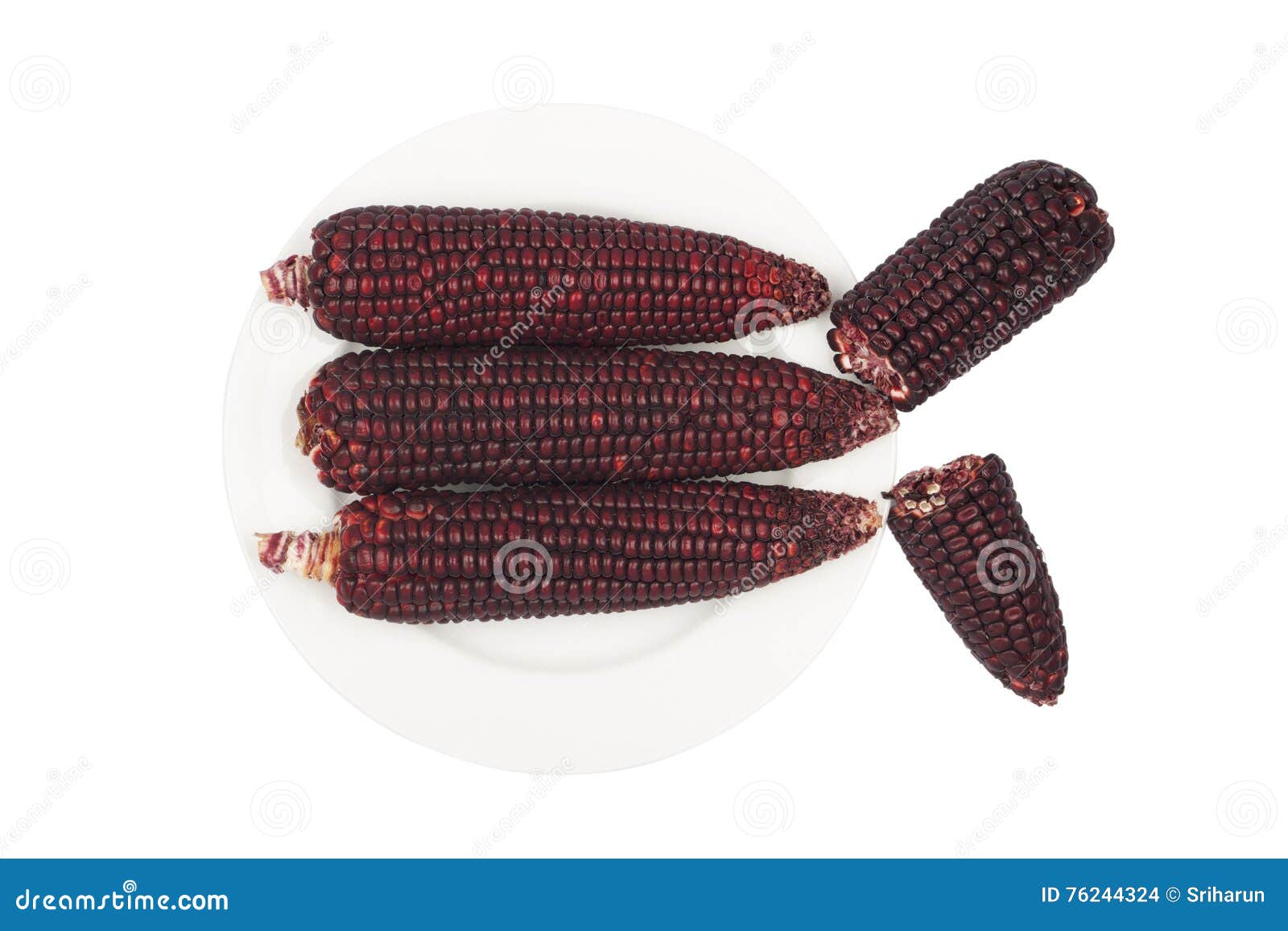 Purple corn stock photo. Image of maize, appetizing, agriculture - 76244324