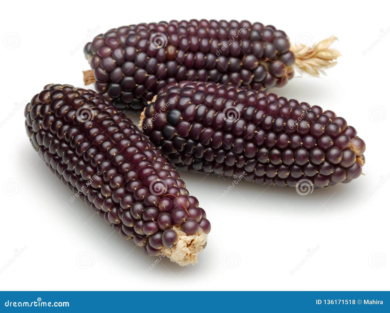 Purple Corn on White Background Stock Photo - Image of food, grain ...