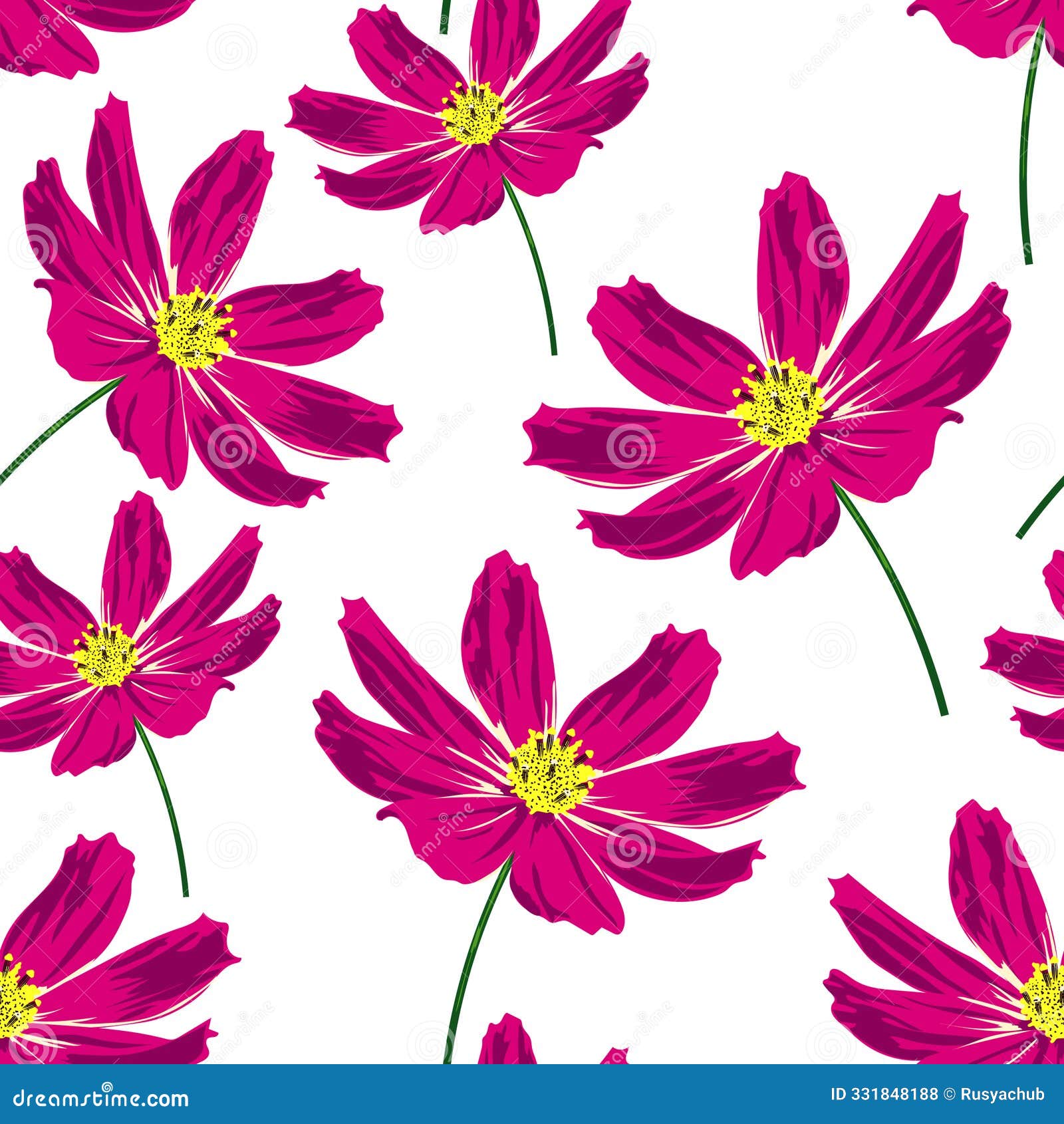 Small Purple and Violet Graceful Cosmos Flowers on a White Background ...