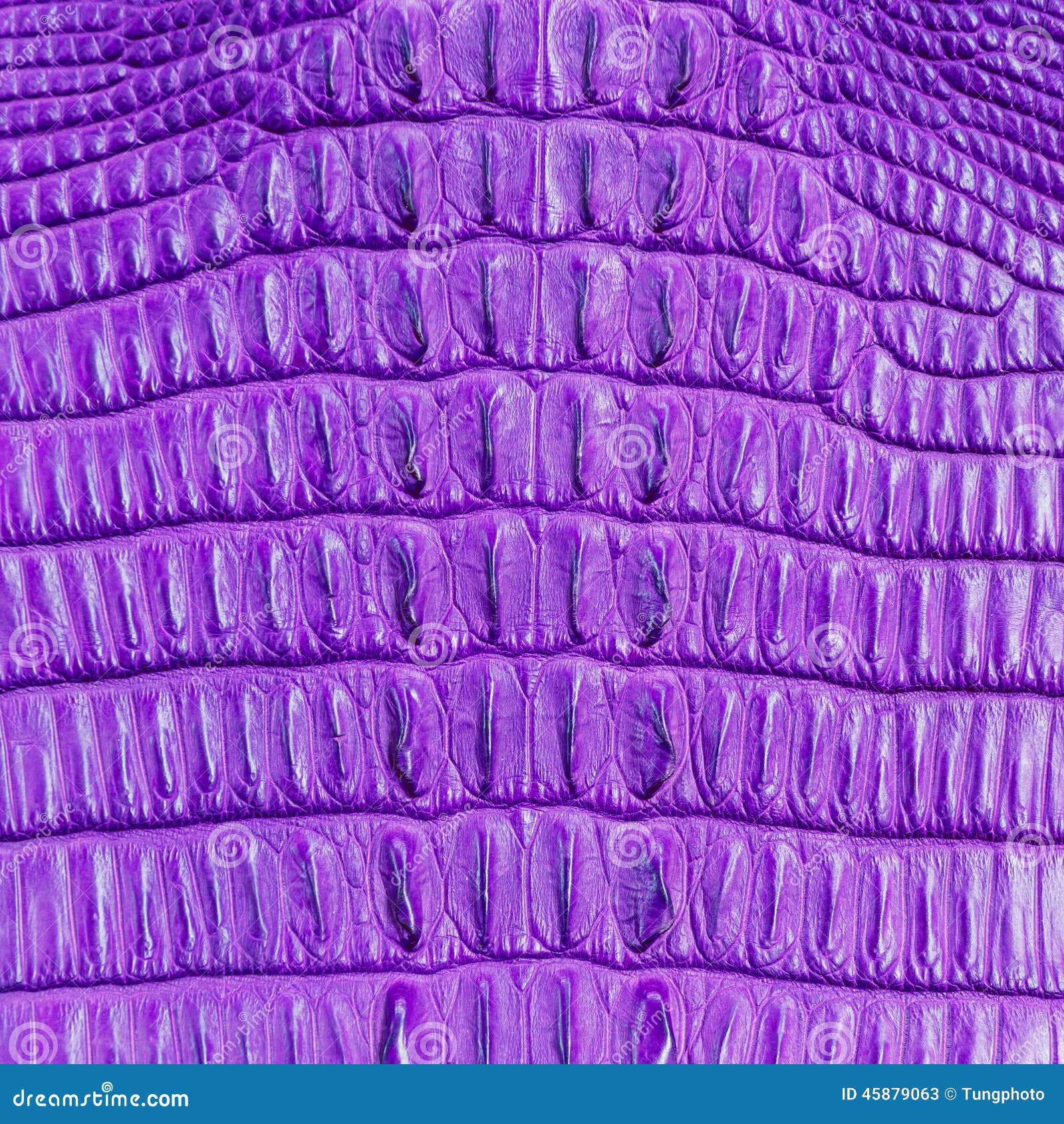 Purple Alligator Skin
