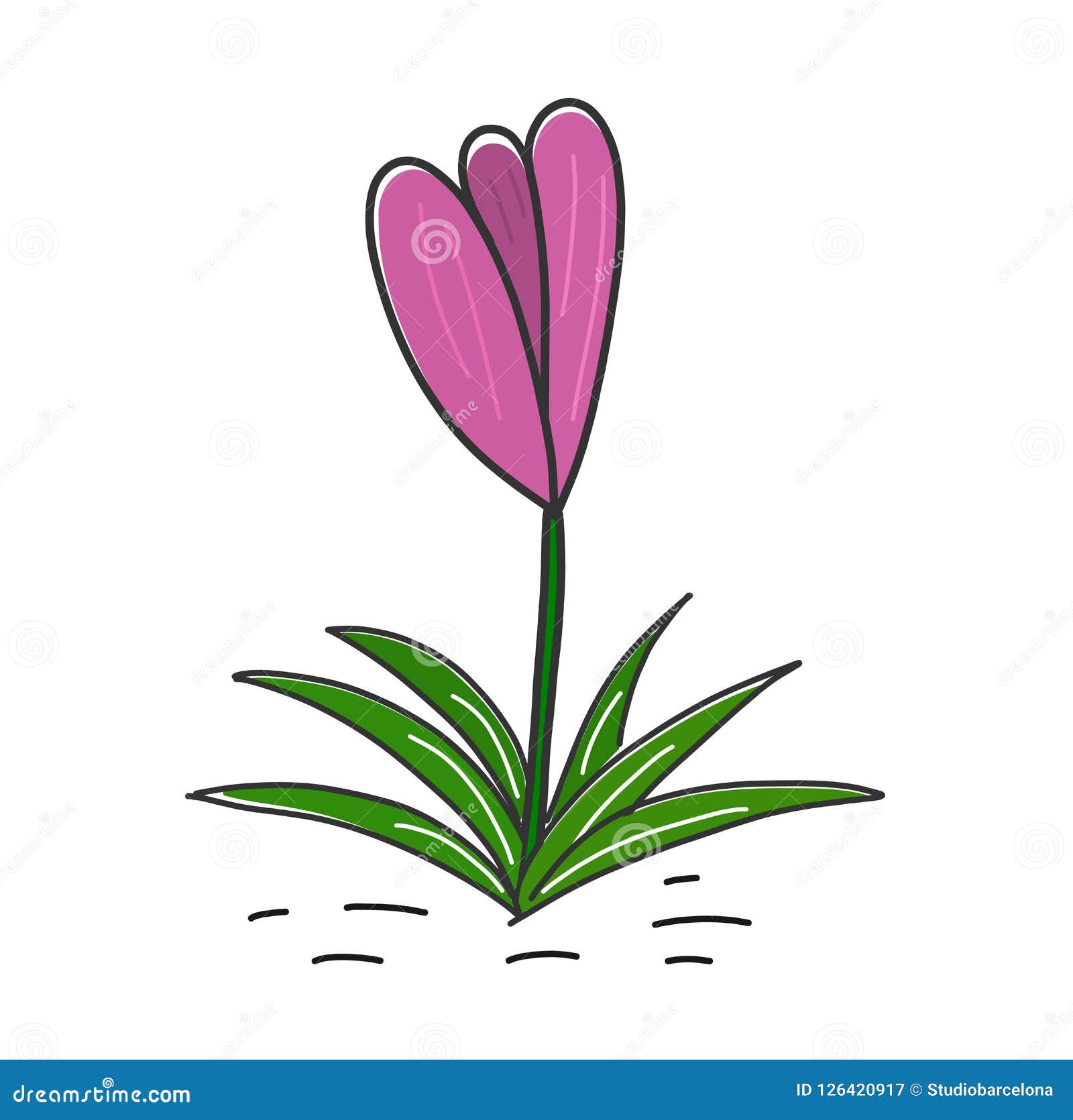 Purple crocus flower icon stock vector. Illustration of graphic - 126420917
