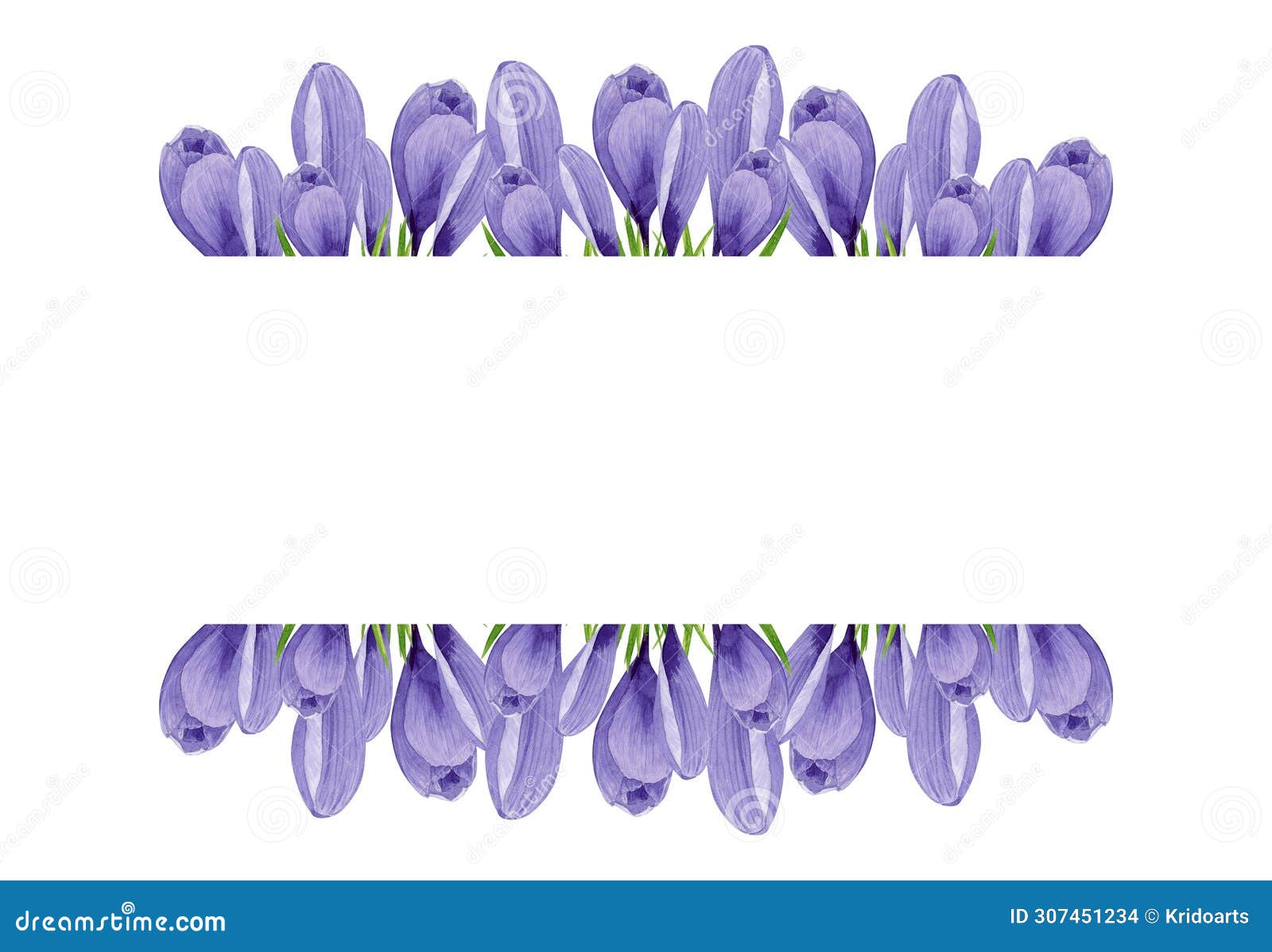 Purple Crocuses Spring Flowers Rectangular Frame. Hand Painted ...