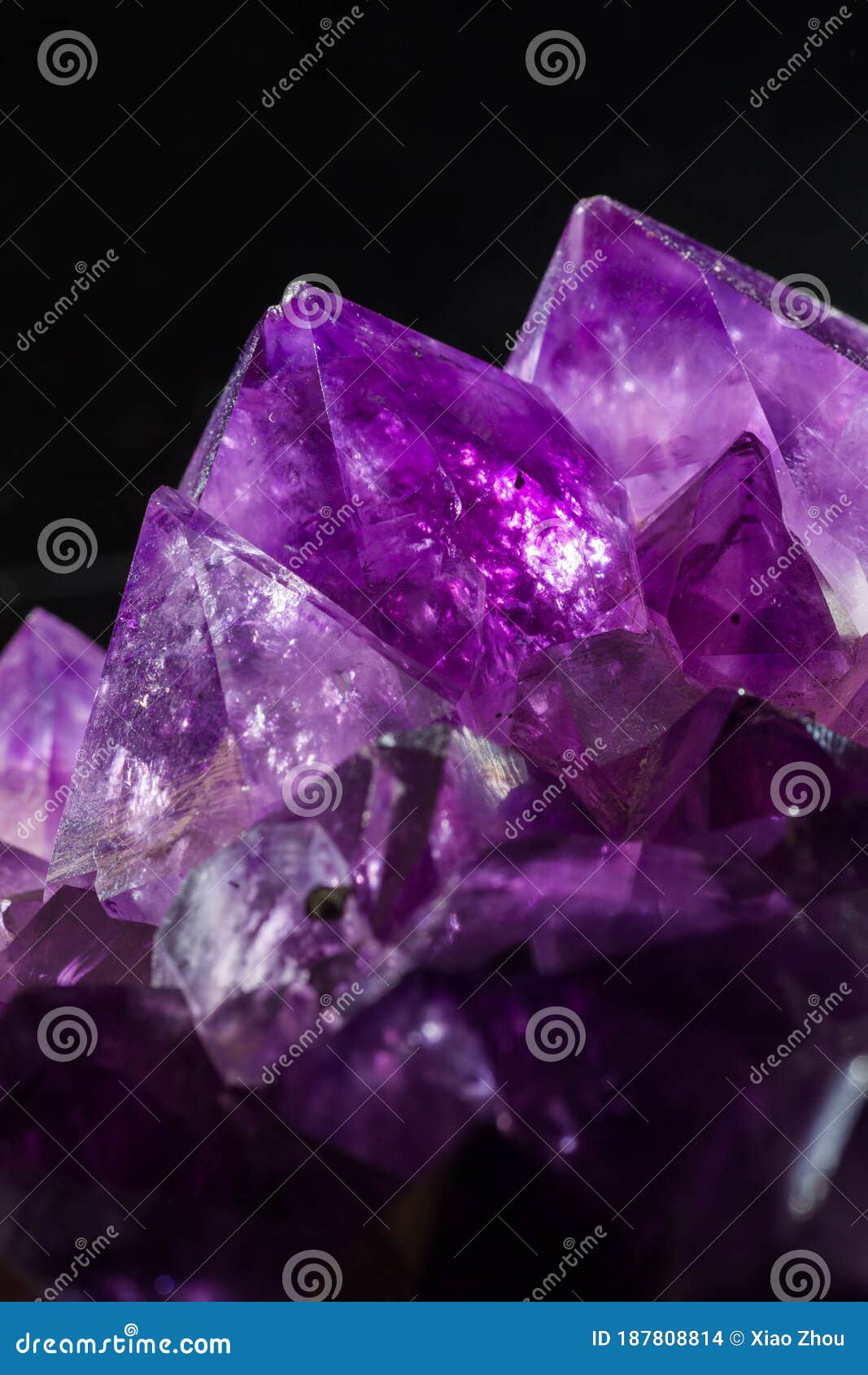 Purple crystal stock photo. Image of creature, identify - 187808814