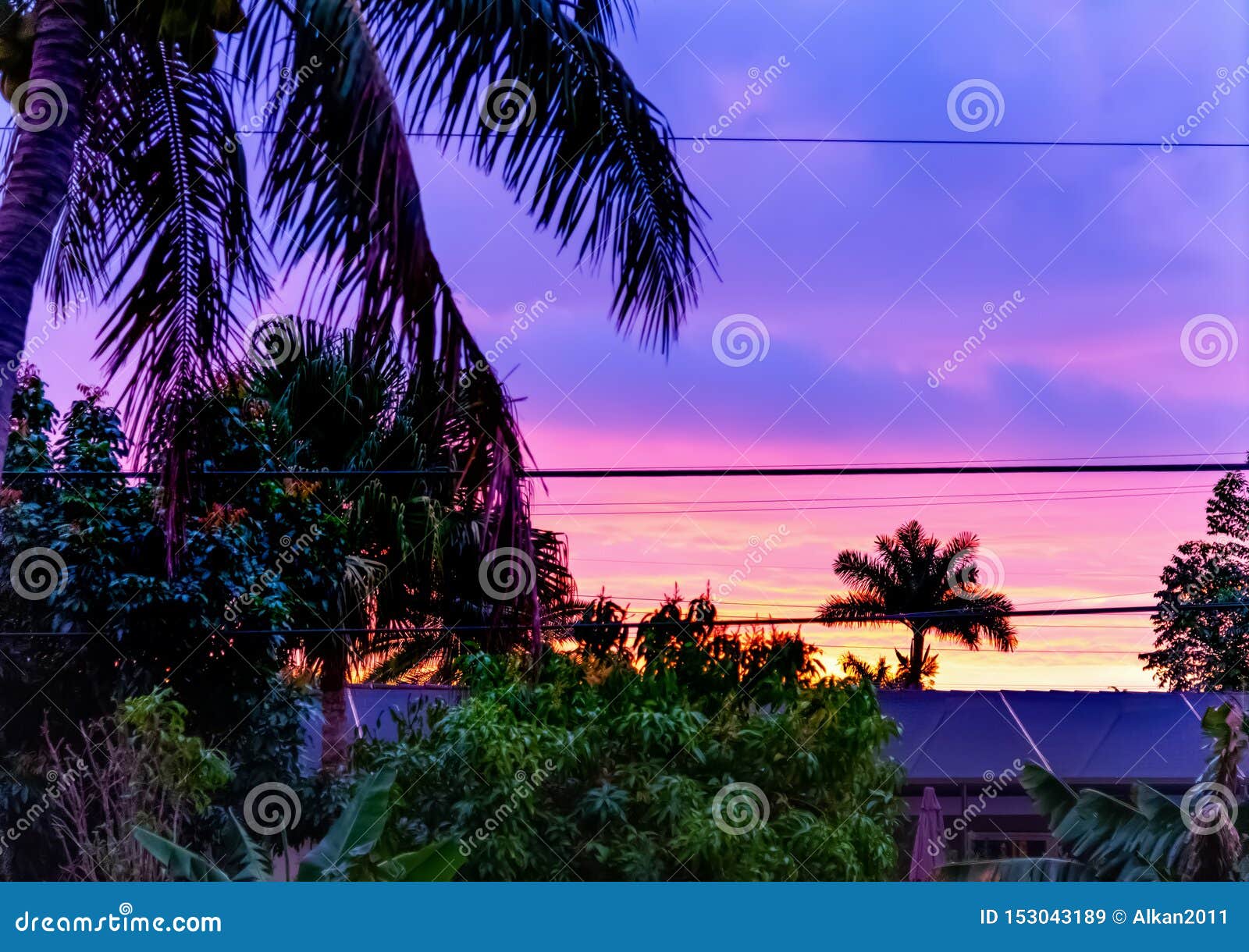 Purple dawn in Miami stock image. Image of lights, purple - 153043189