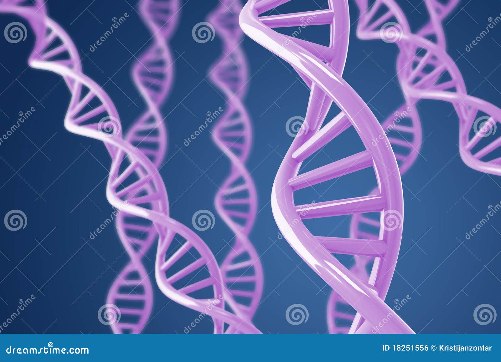 Purple DNA Helices on a Blue Background Stock Illustration ...
