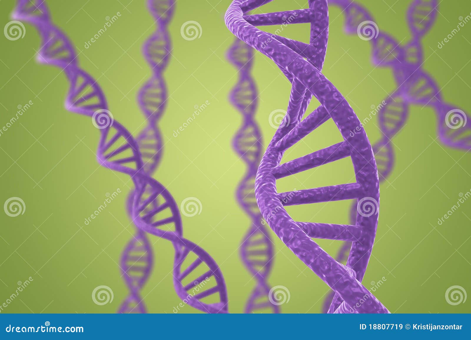 Purple DNA Helices on a Green Background Stock Illustration ...
