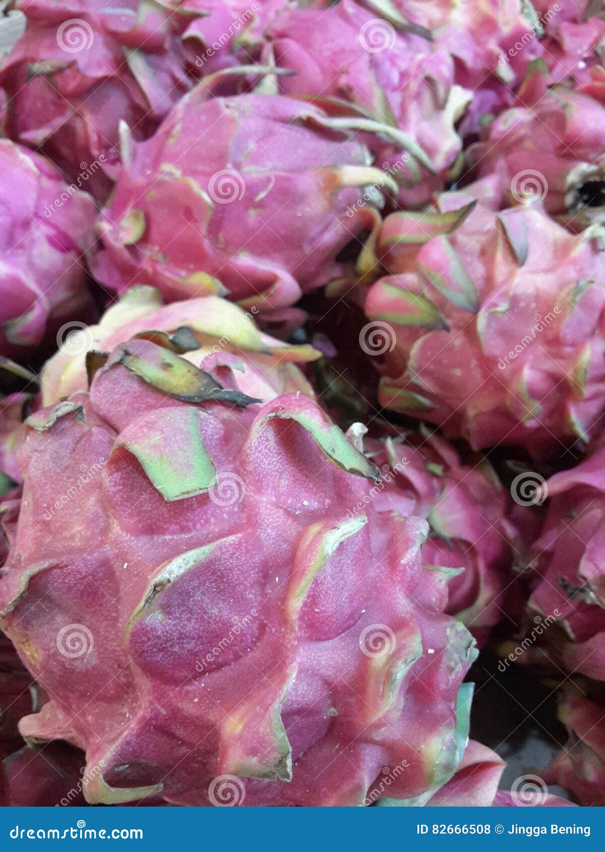Purple dragon fruit stock photo. Image of dragon, purple - 82666508