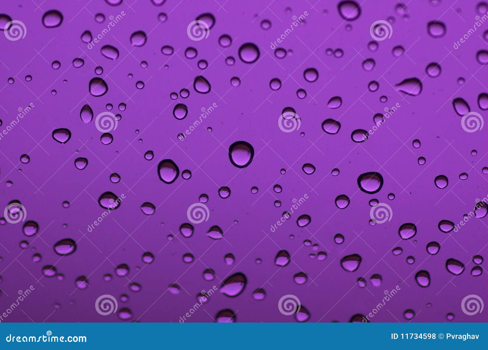 Purple Drops stock photo. Image of wallpaper, drizzle - 11734598