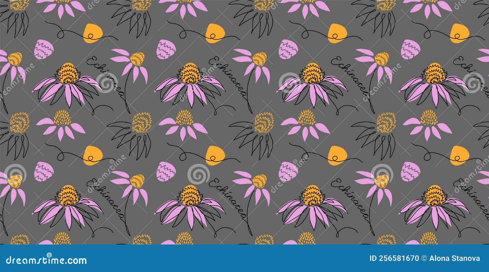 Purple Echinacea, Coneflower Seamless Vector Pattern. One Continuous ...