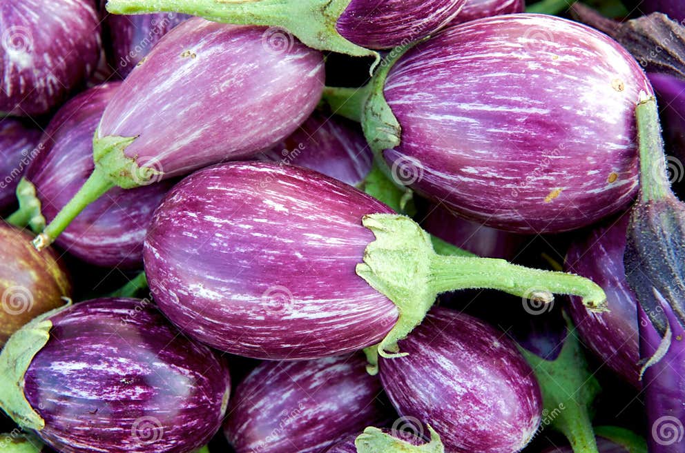 Purple Eggs stock photo. Image of food, vegetarian, agriculture - 5973400