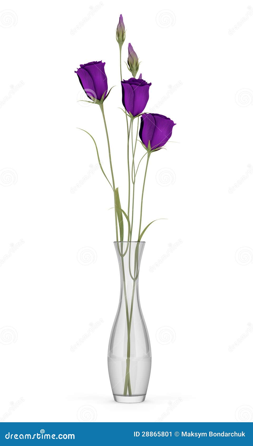 Purple Eustoma Lisianthus Watercolor Painting Royalty-Free Stock Photo ...