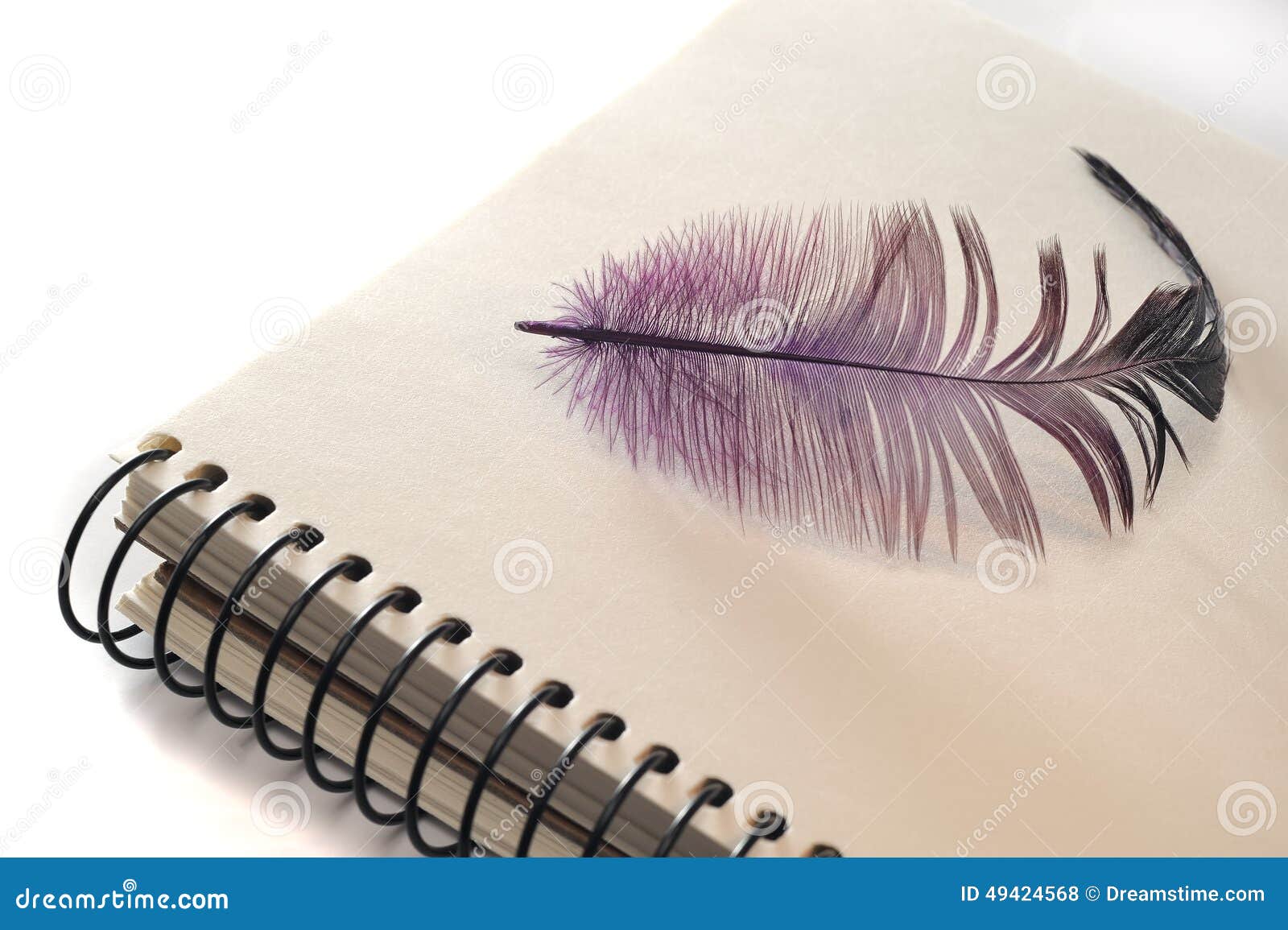 Purple feather on notebook stock photo. Image of notebook - 49424568