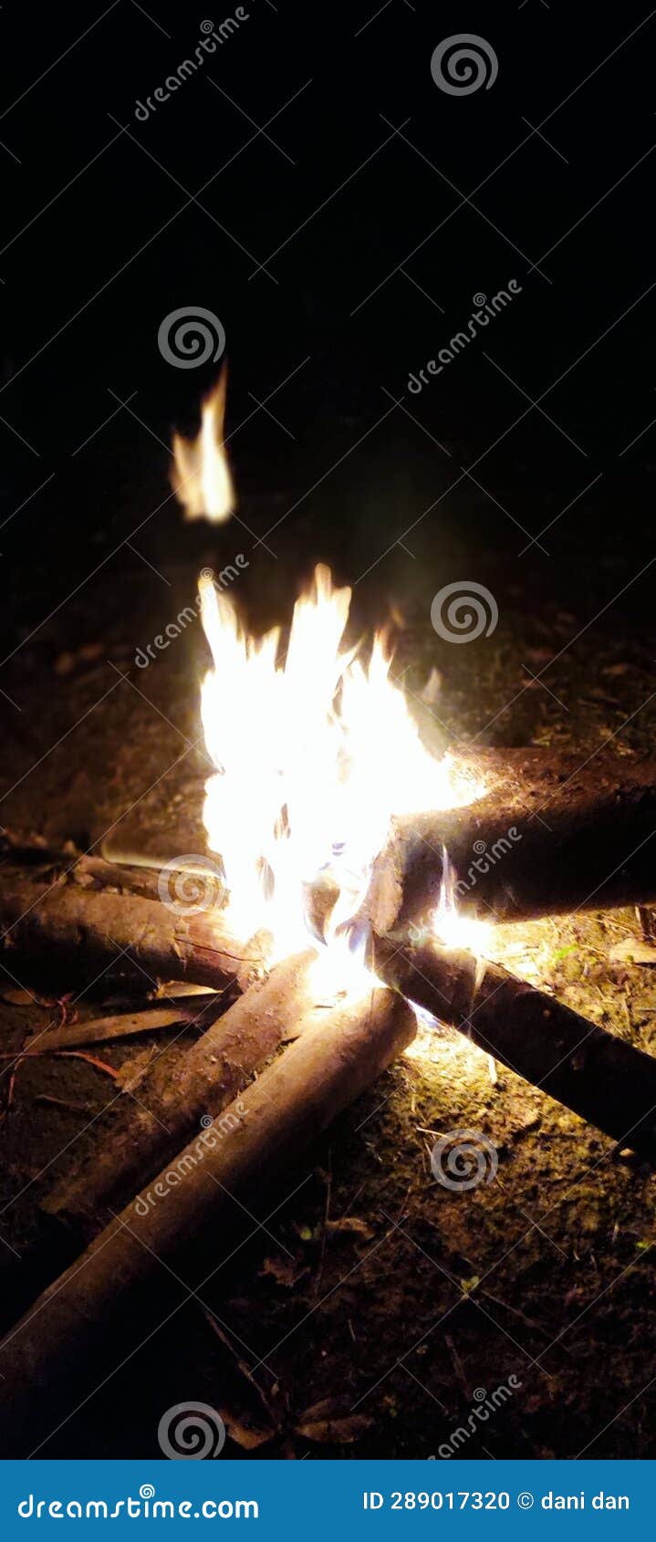 Purple fire at night stock photo. Image of nighttime - 289017320