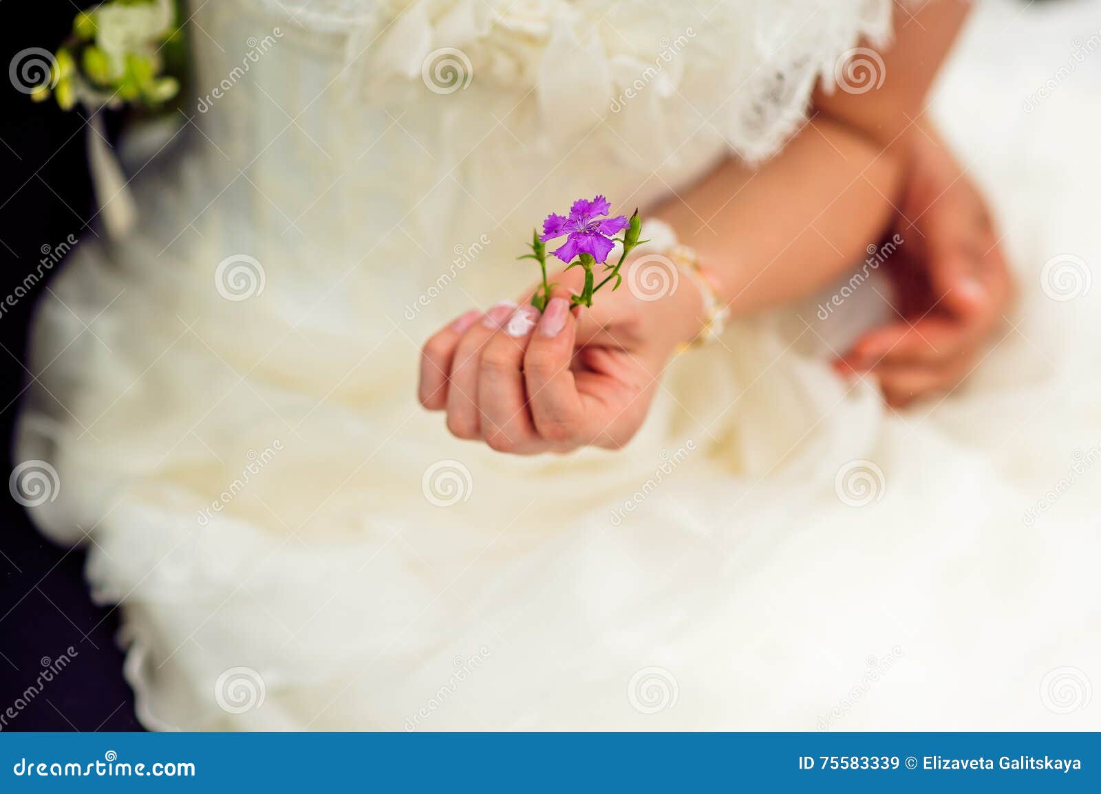 Purple flower in the hand stock image. Image of marriage - 75583339